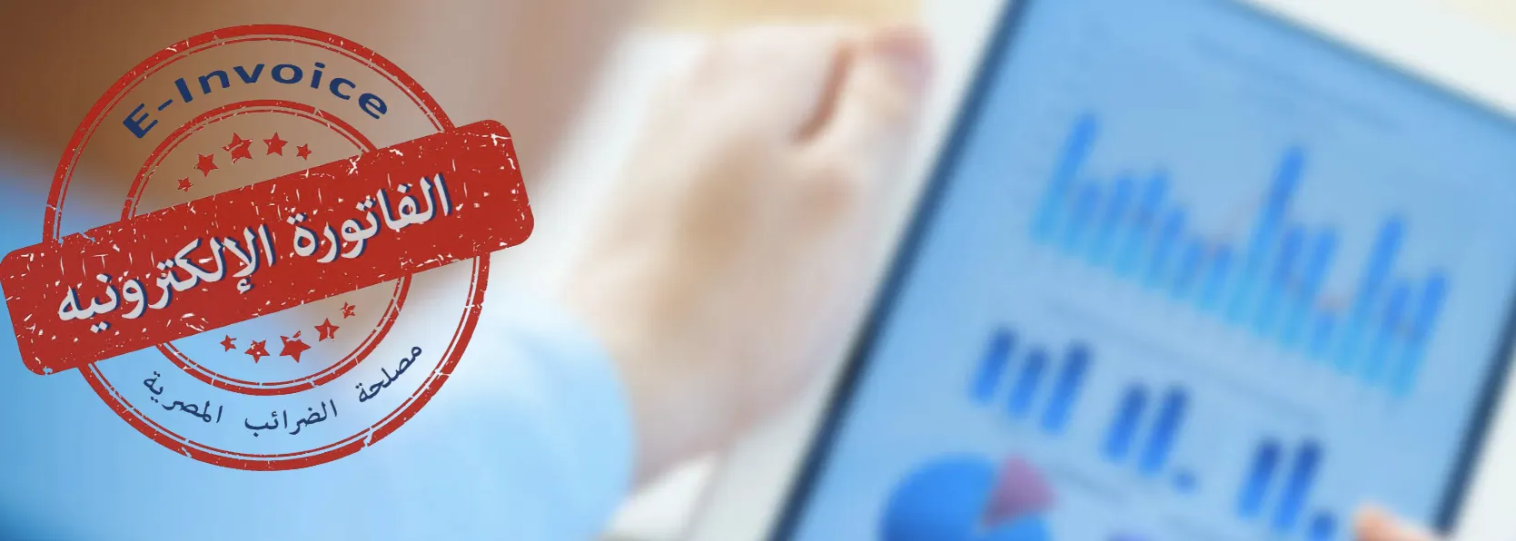 Electronic Invoice Program - Egypt || Semicolon